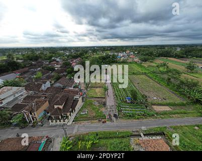 Aerial photo shows the rice fields in Zhuxi County, Shiyan City ...