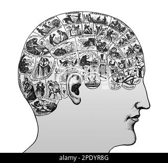 Phrenological Chart, head with mental and moral faculties, 19th century ...