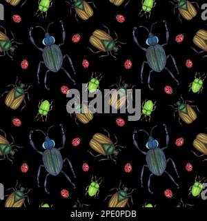 SSeamless pattern Realistic beetles insect isolated on white background ...