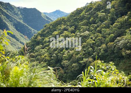 The majestic valley of Banaue in the Philippines with its imposing ...