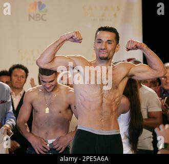 Boxers being Shown in the Show Ring at the Louisville Kennel Club Dog ...