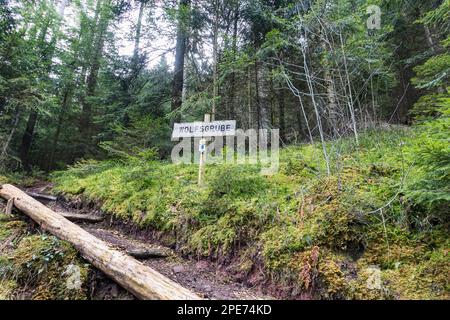 Wolf pit in the northern Black Forest for hunting wolves in the 19th ...