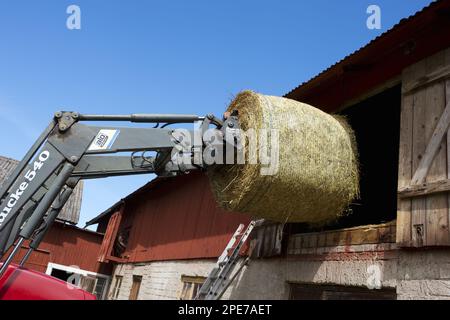 Loading round bale of hay into hayloft with front loader bale spike on ...