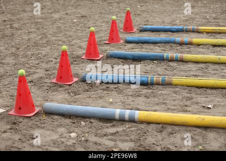 Obstacles and buoys in the sand in an empty equestrian center Stock ...