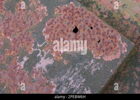 Rusted corner of basement door. Grunge rusted metal texture, rust and ...