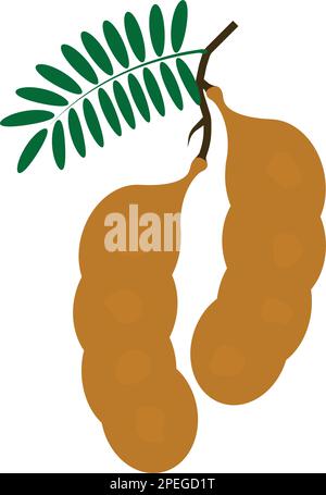 tamarind logo icon vektor template Stock Vector Image & Art - Alamy