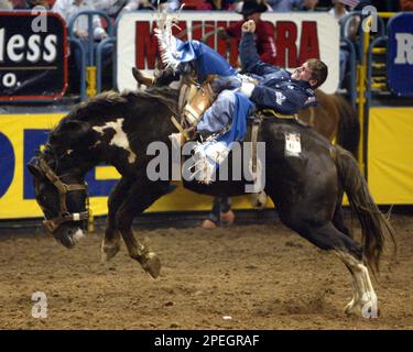 Kelly Timberman, of Mills, Wyo., rides " Brand Inspectors Pet Vitalix ...
