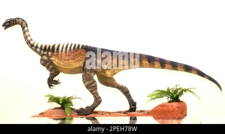 Luciano Leal, a paleontologist at the Federal University in Rio de ...