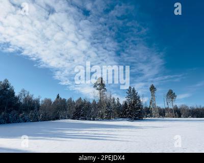 Vast snowy field under a bright blue sky with wispy clouds and distant ...