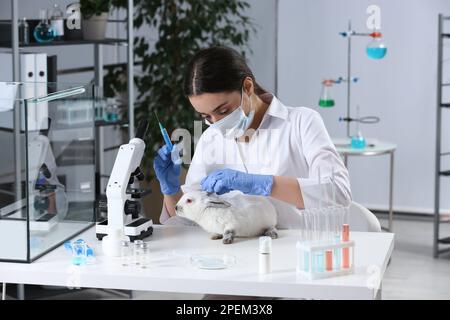 Scientist with syringe and rabbit in chemical laboratory. Animal ...