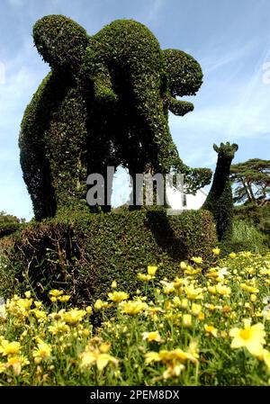 Sculpted shrubbery in garden Stock Photo - Alamy