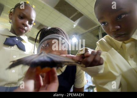 Oct. 30, 2004 - New York, New York, U.S. - K40203RM.CHILLER THEATRE ...