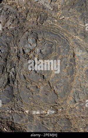 "Basalt rose", example of spheroidal weathering of diabase rock. Rock ...