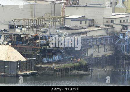 Simpson Lumber officials and Mason Co. Fire Inspectors look over the ...