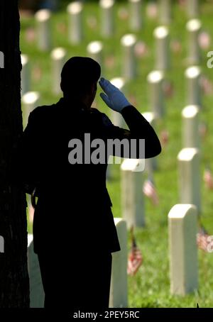 Fort Riley, KAN.- Soldiers stationed at Fort Riley teamed up into teams ...