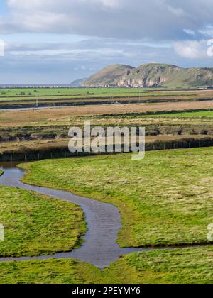 The Uphill Cliff Site of Special Scientific Interest with Brent Knoll ...