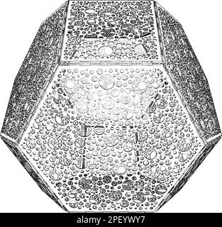 Perforated Polyhedron With Hexagon And Square Sides Solid Shape Vector ...