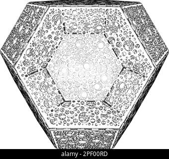 Perforated Polyhedron With Hexagon And Square Sides Solid Shape Vector ...