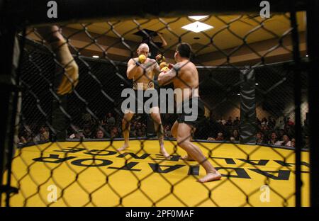 Mix-fighters training on boxing ring Stock Photo - Alamy