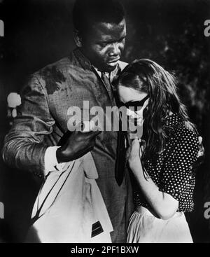 Sidney Poitier & Elizabeth Hartman Film A Patch Of Blue (1966 ...