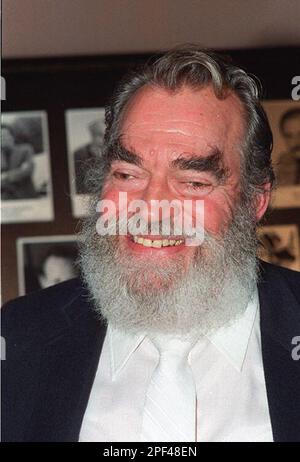 Jack Elam Jack Elam Jack Elam Stock Photo - Alamy