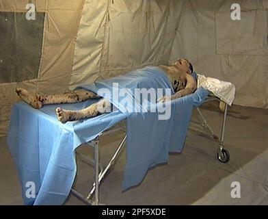 The body of Saddam Hussein's son Odai is shown to the media in Baghdad ...