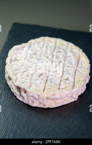 French cheeses collection, Saint-Félicien cow's milk cheese with white ...