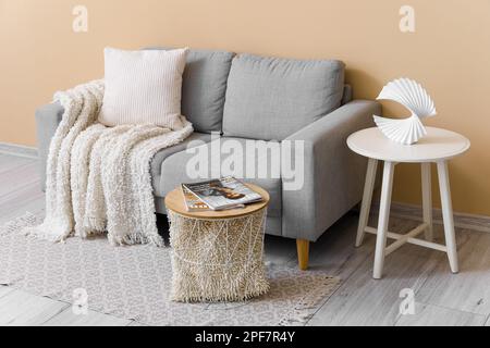 Cozy grey sofa with cushion, magazine and decorative figure on table ...