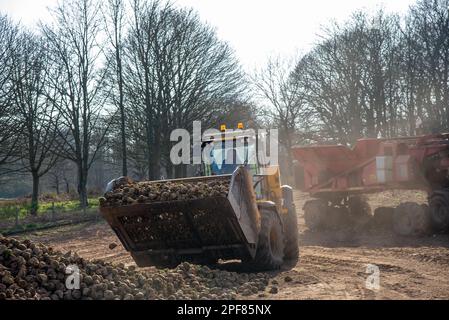 Scania truck pulling a bulk tipper trailer takes a downhill bend on the ...