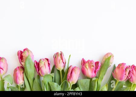 Border of fresh tulips on green background. Copy space. Spring flowers ...