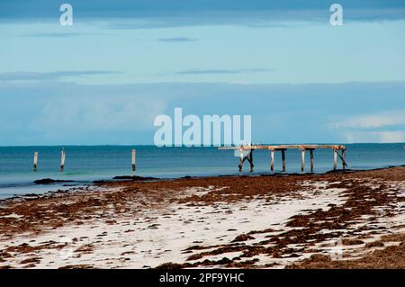 Eucla Jetty - Western Australia Stock Photo - Alamy