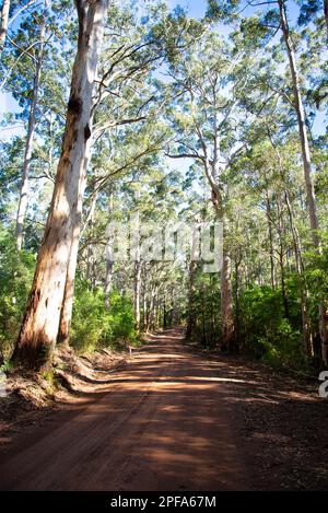 Old Vasse Road - Western Australia Stock Photo - Alamy
