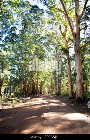 Old Vasse Road - Western Australia Stock Photo - Alamy