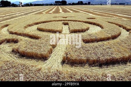 CROP CIRCLE, SIGNS, 2002 Stock Photo - Alamy
