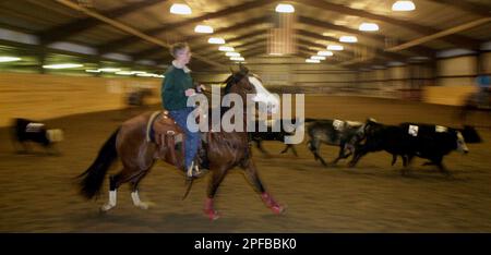 Team Penning event Stock Photo - Alamy