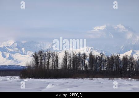 Denali peaks views Stock Photo - Alamy