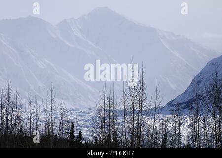 Around Matanuska glacier Stock Photo - Alamy