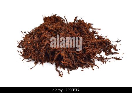 Fern root substrate isolated on white background Stock Photo - Alamy