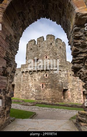 Towers of Conway Castle Conway Wales Stock Photo - Alamy