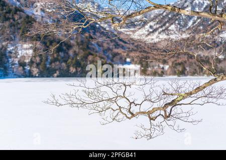 Nikko cover in snow at winter, Tochigi, Japan Stock Photo - Alamy