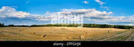 High-voltage power line truss poles mounted on the Varna lake shore ...