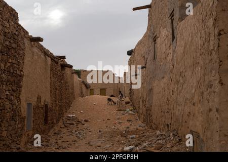 A street in the ancient city of Chinguetti, Mauritania, filled with ...