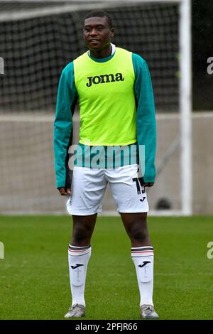 Swansea, Wales. 17 March 2023. Match Referee Neil Pratt during the ...