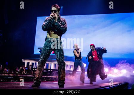 AMSTERDAM - The Hague band Goldband with Boaz Kok, Karel Gerlach, Milo ...