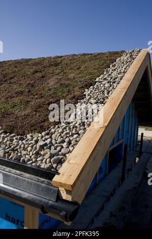 The sedum roof consists of a waterproof membrane covered with soil ...