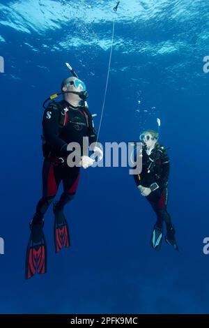 Diver, diver, exercise, setting the safety buoy, 3rd holding the safety ...