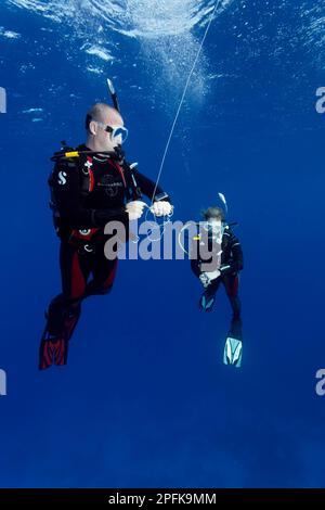 Diver, diver, exercise, setting the safety buoy, 3rd holding the safety ...