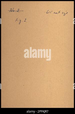 Aboriginal Skull, Australia Stock Photo - Alamy