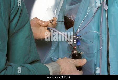 horse undergoing keyhole surgical operation at equine hospital Stock ...