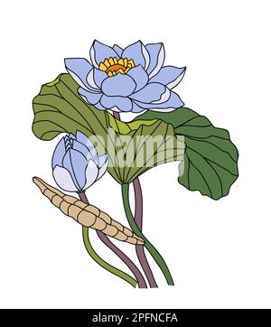 Lotus Water Lily July birth month flower line art Stock Vector Image ...